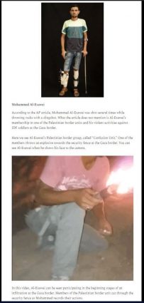 Getting to know Joe Truzman