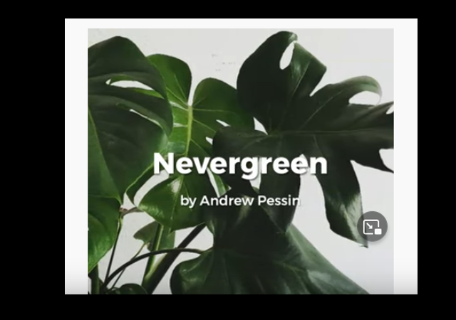 Book Review: “Nevergreen” by Andrew Pessin