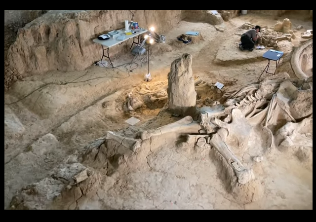 Mammoth Bones and ‘Ghost’ Footprints Stir Debate about Timing of Human ...