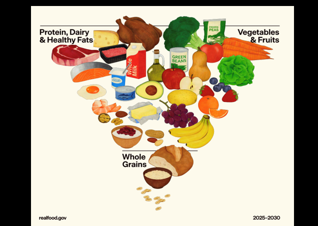 RFK Jr Scores MAHA Win by Flipping the Food Pyramid Upside Down